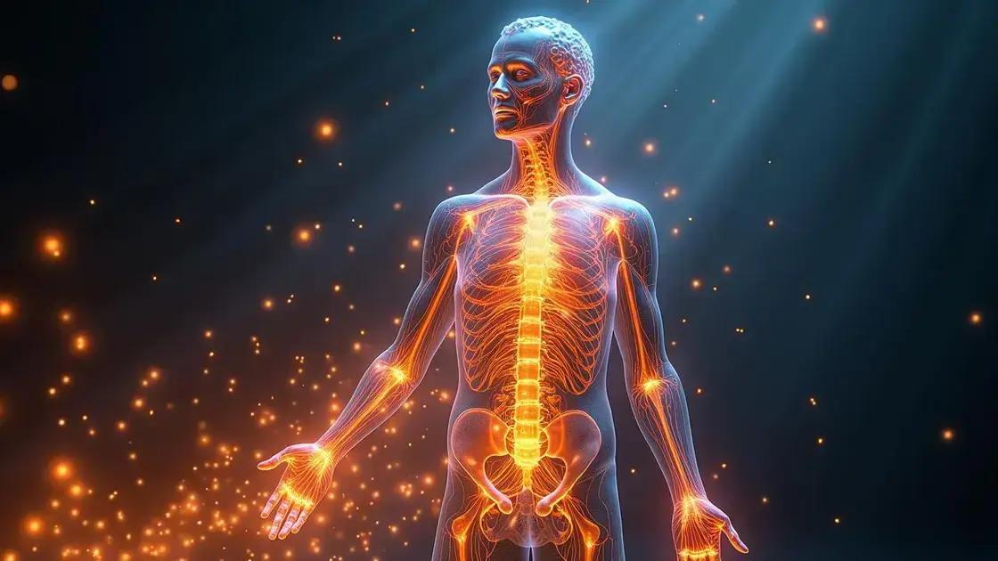 How Does POWER RISE Work in the Body? Understanding Its Impact