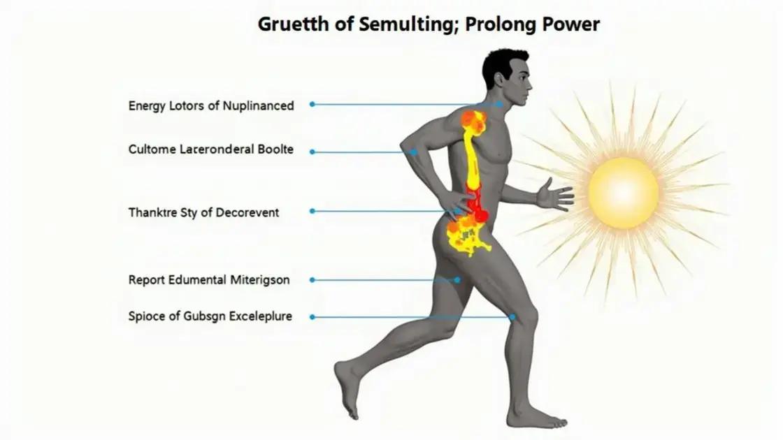 How does Prolong Power Work in the Body Effectively?