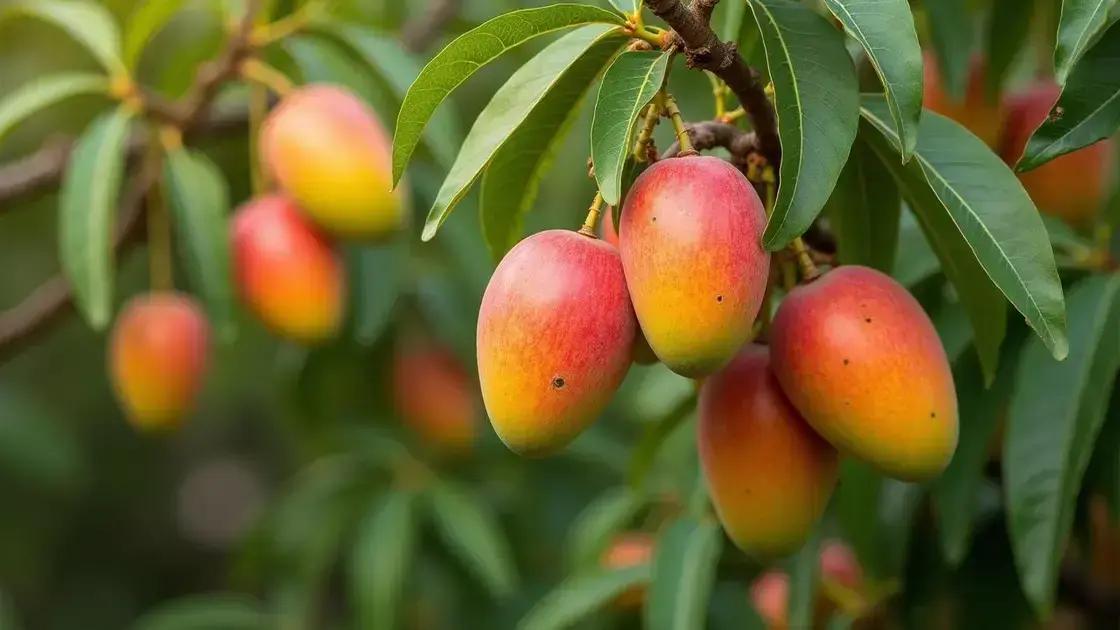 How to Optimize the Benefits of the Mango Trick Effectively